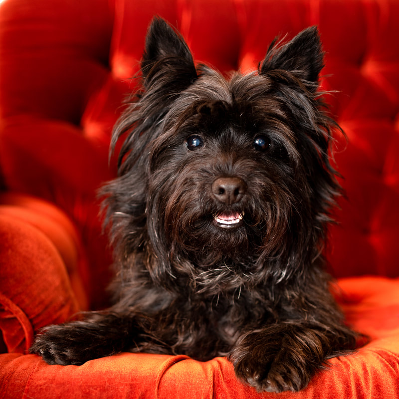 kate mudge photography - KATE MUDGE PHOTOGRAPHY